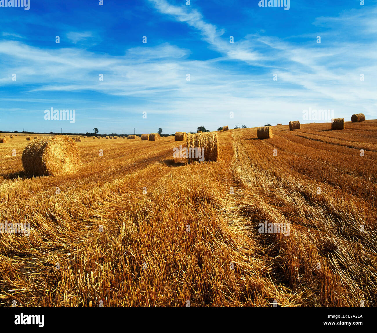 Round hays hi-res stock photography and images - Alamy