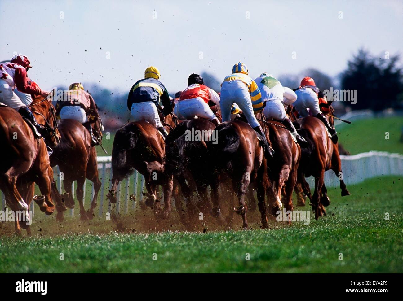 Horse Racing; Rear View Of Horses Racing Stock Photo - Alamy