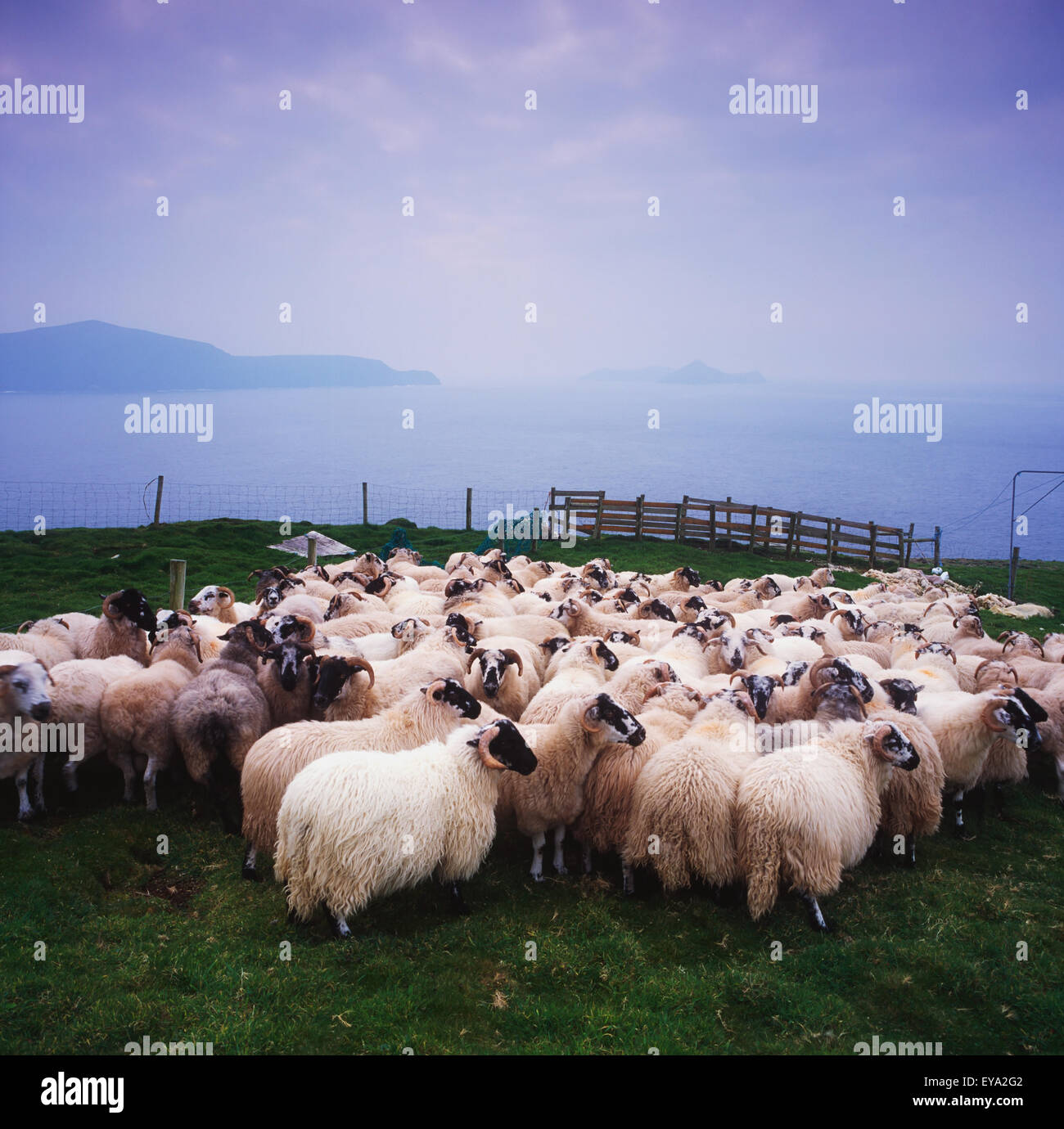 Inishtooskert island hi-res stock photography and images - Alamy