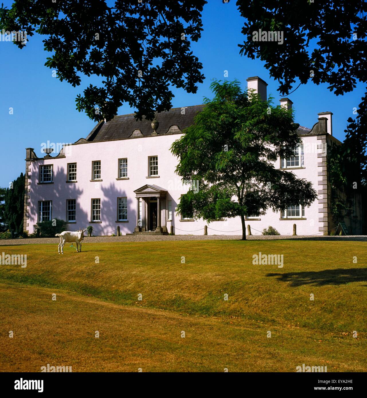 Annaghmore hi-res stock photography and images - Alamy