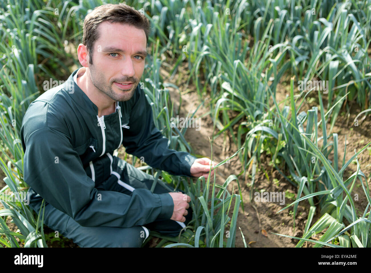 VIew of a Farmer working in a leek field Stock Photo - Alamy