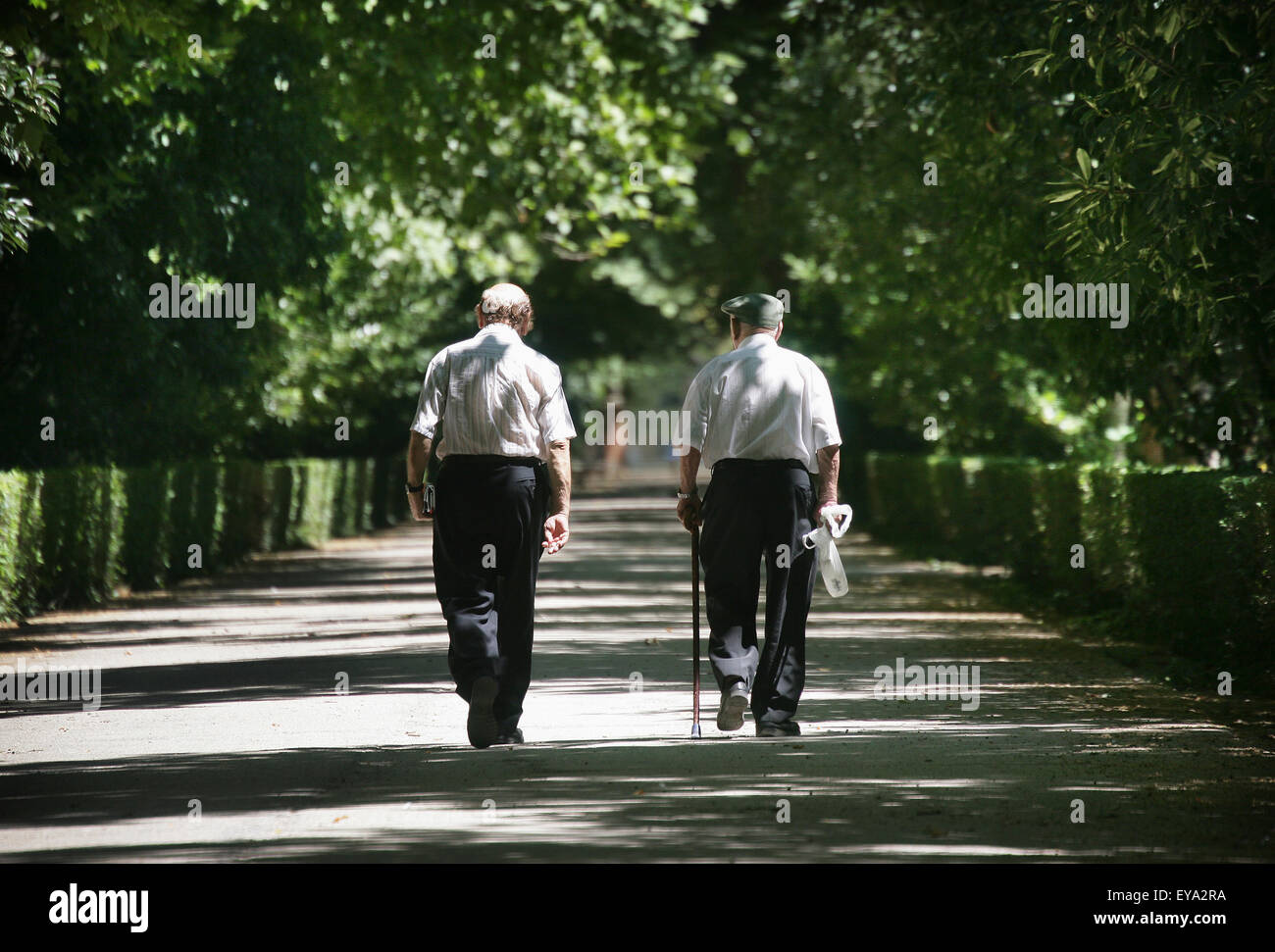 Two Old Men Walking In Park,Rear View, Royal Palace (Palacio Real ...