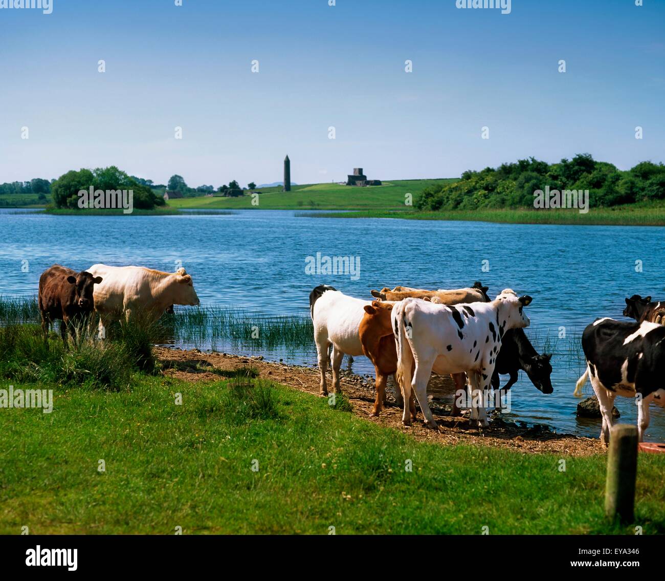 Devenish fermanagh hi-res stock photography and images - Alamy