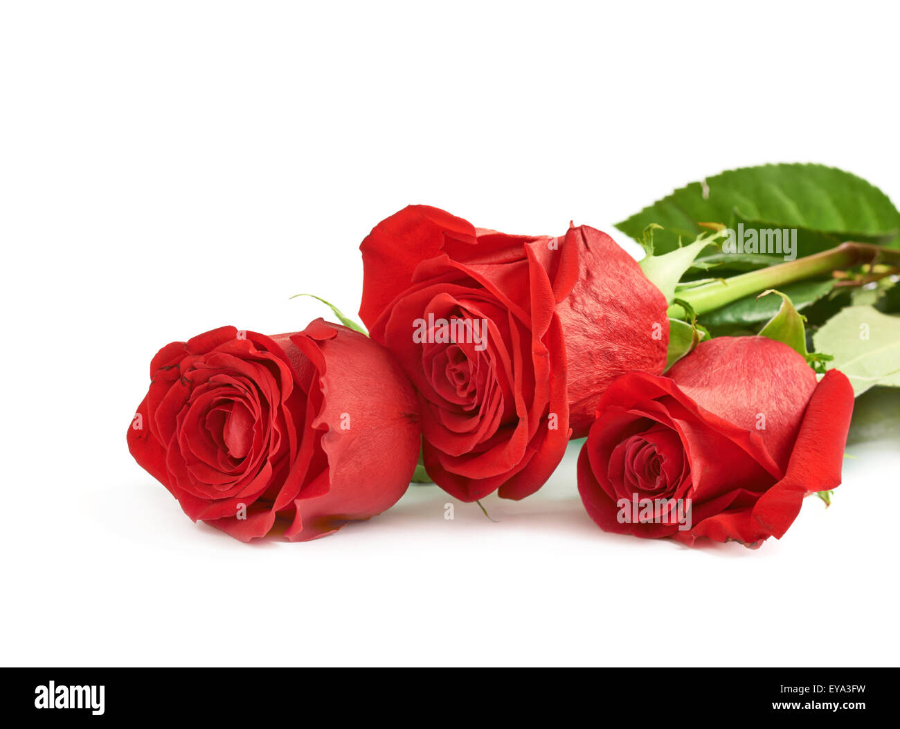 Wedding bouquet red roses lying hi-res stock photography and images - Alamy