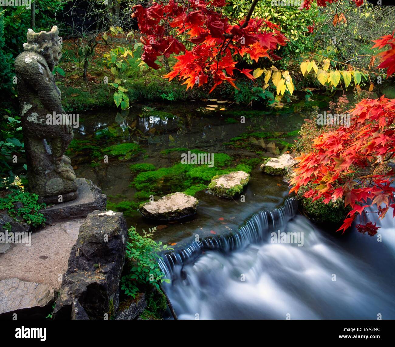 Stream With Sculpture, Autumn, Japanese Gardens, Co Kildare, Ireland ...
