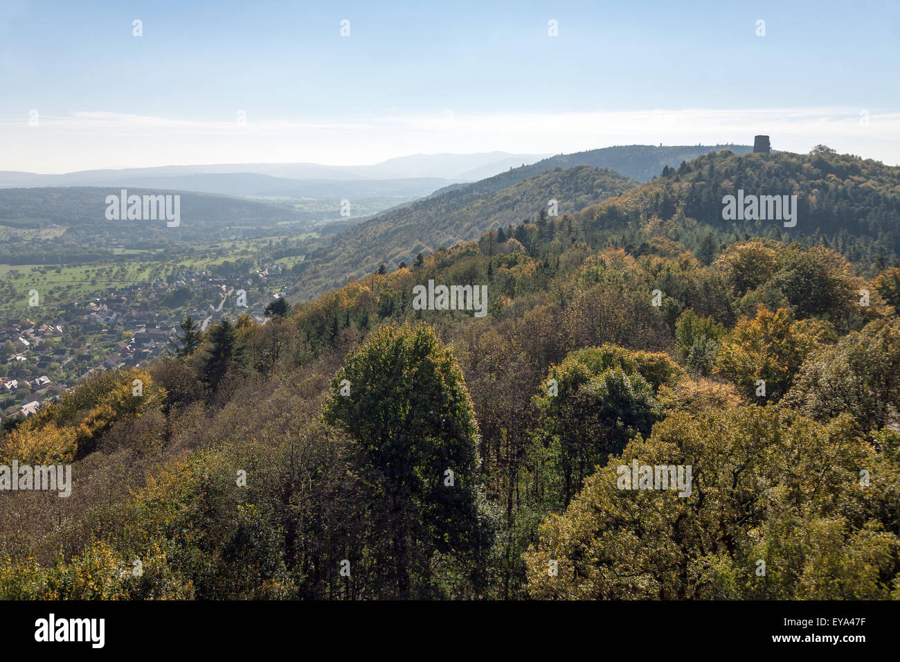 Saverne Forest High Resolution Stock Photography and Images - Alamy