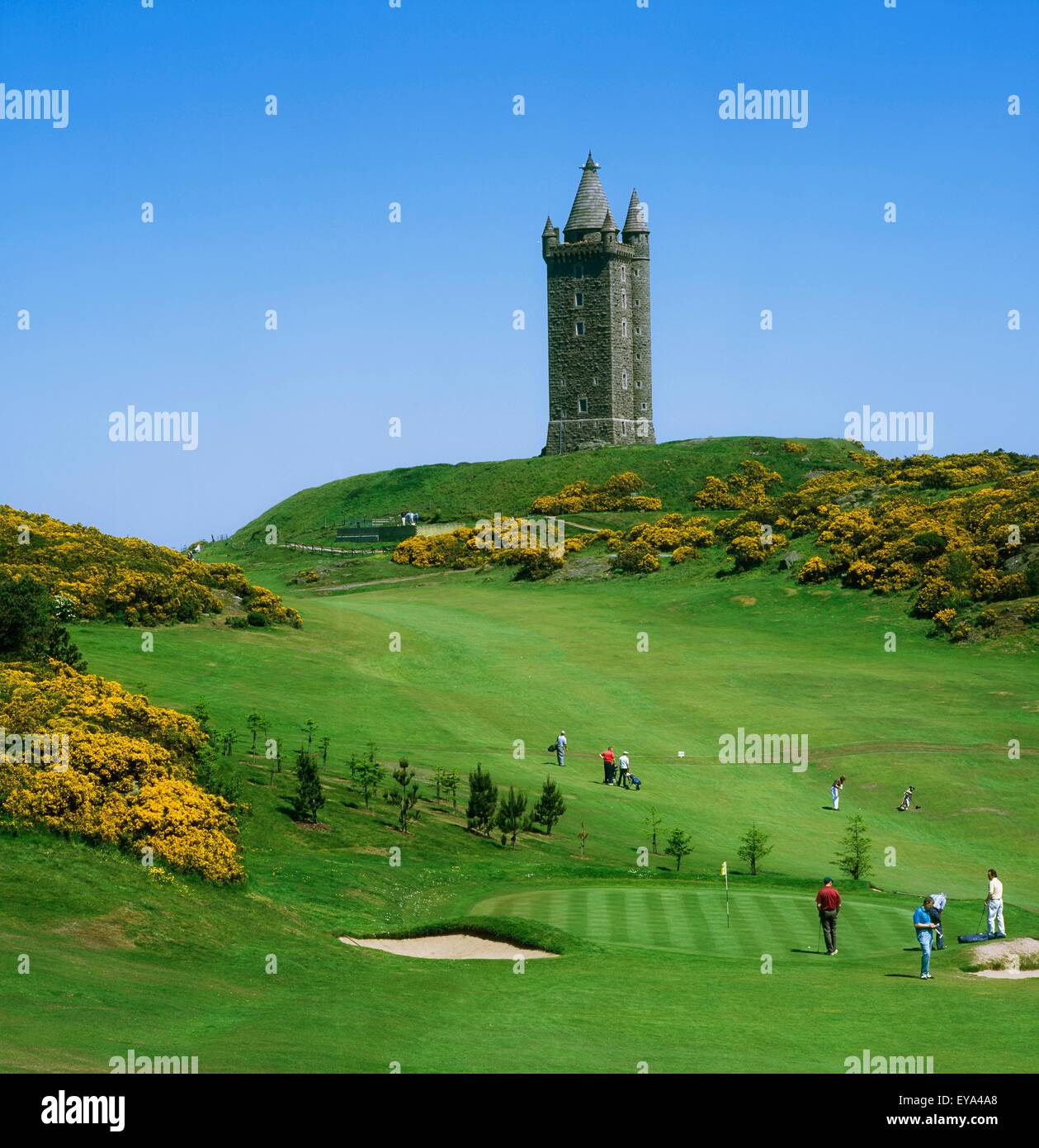 Scrabo tower overlooking a golf club hi-res stock photography and ...