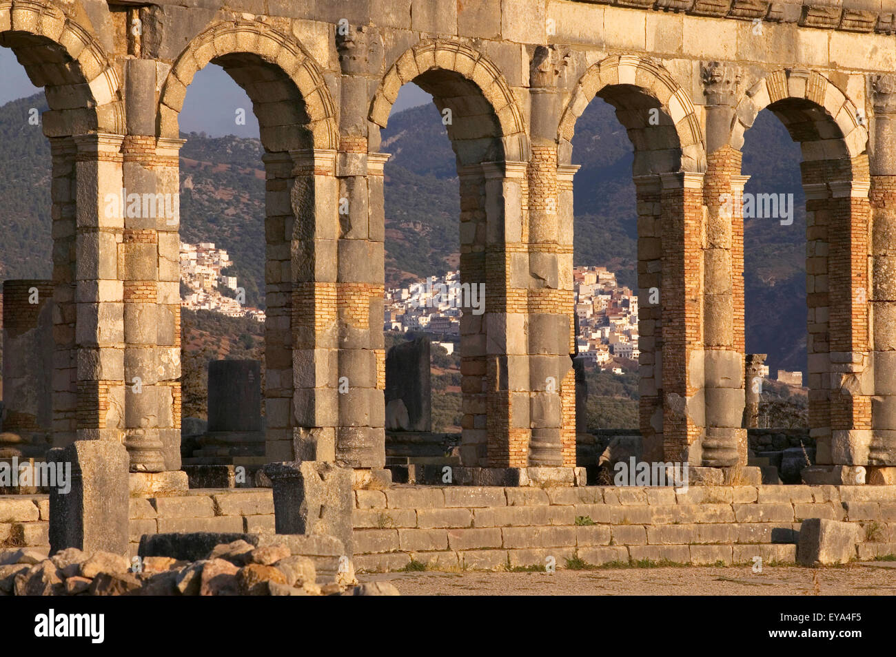 Roman Ruins,Cityscape In Background, Volubilis,Morocco Stock Photo - Alamy