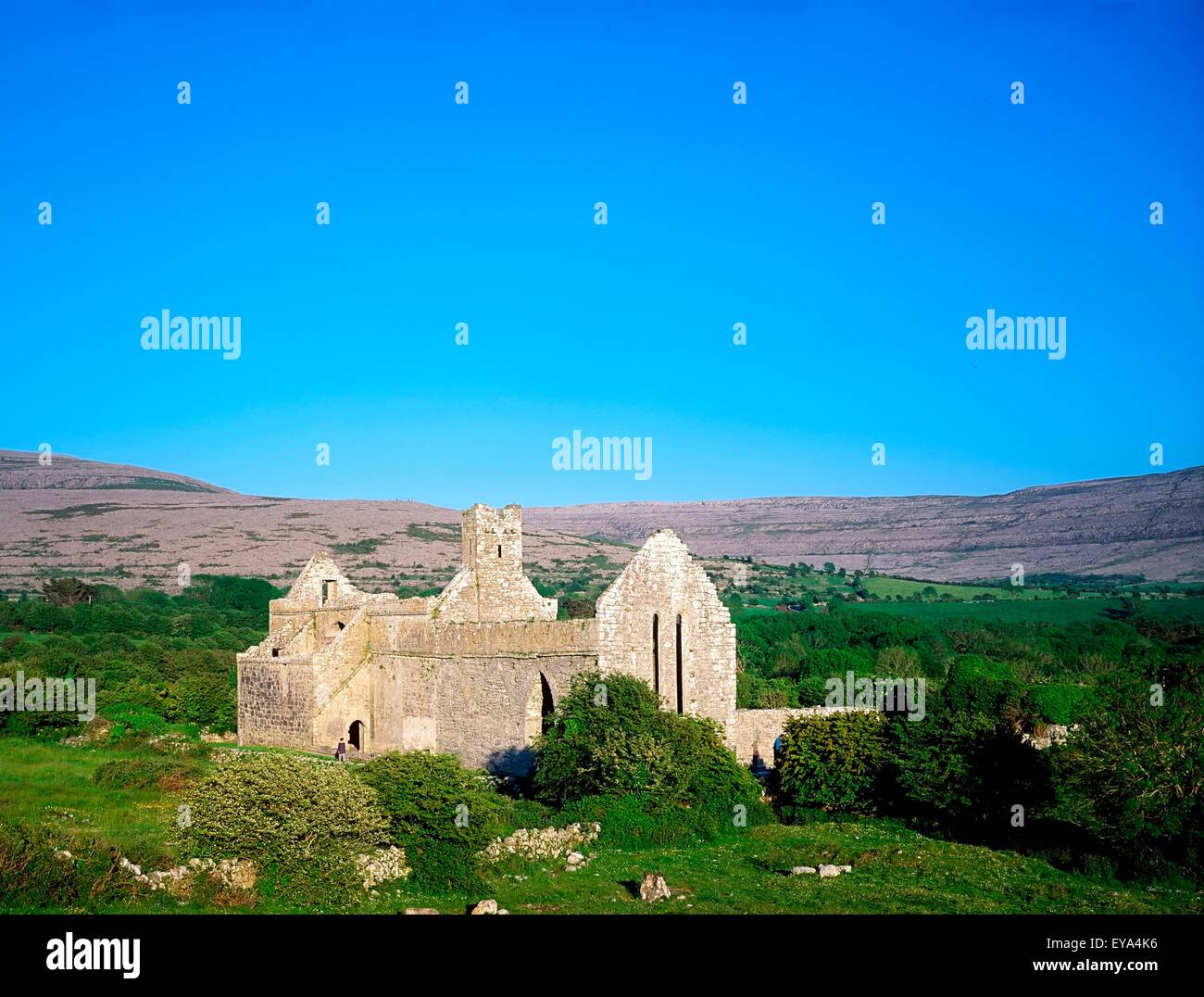 Corcomroe Abbey, Cistercian Monastery, Co Clare, Ireland Stock Photo ...