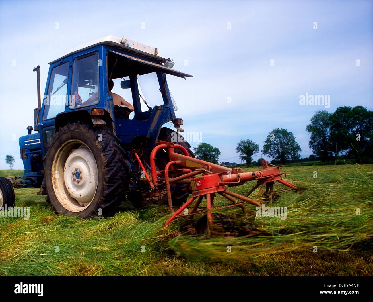 Man Turning Hay In Field With Tractor; Agriculture Stock Photo - Alamy