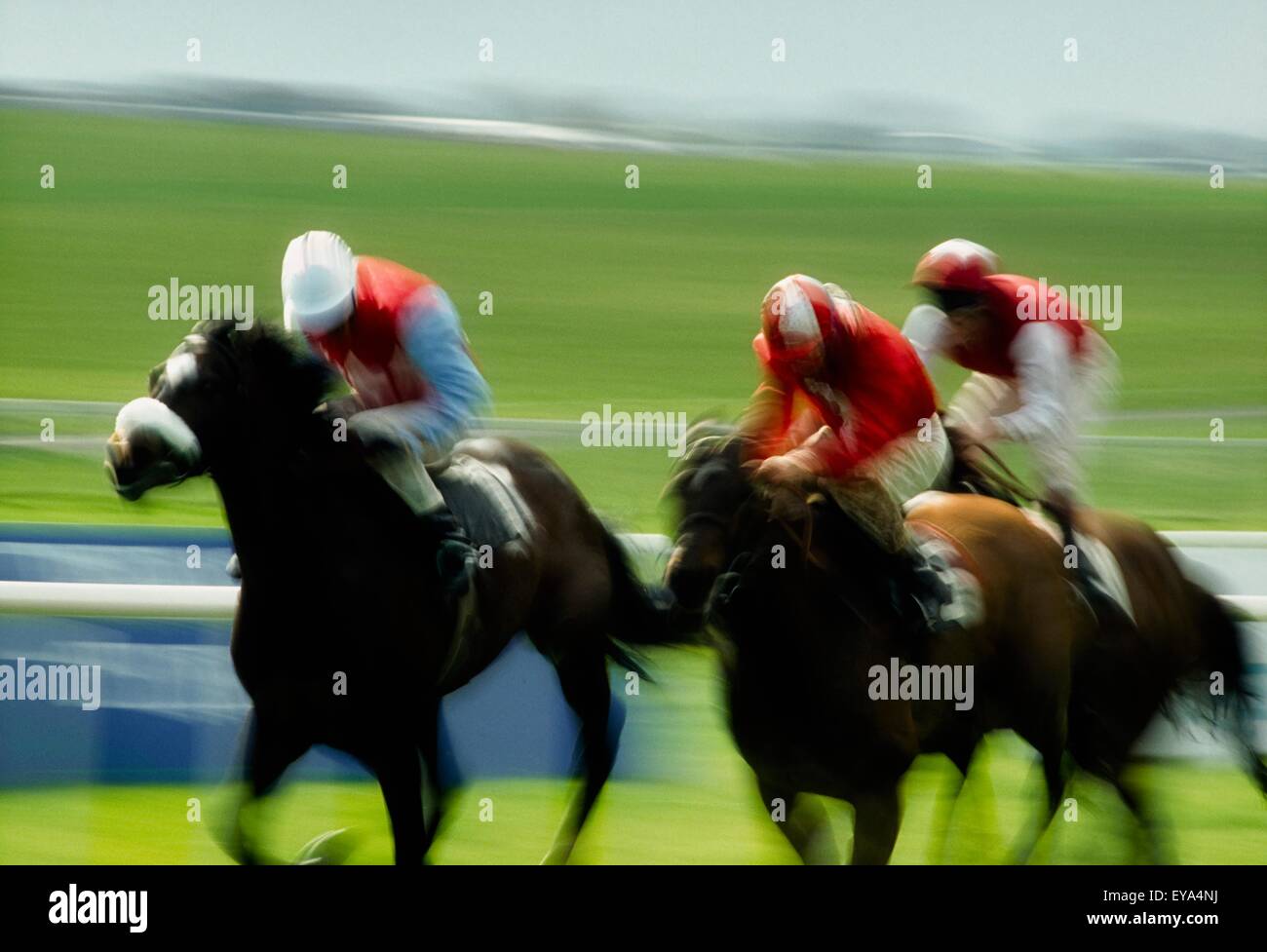 Horse Racing, Ireland; Jockeys Racing Their Horses Stock Photo - Alamy