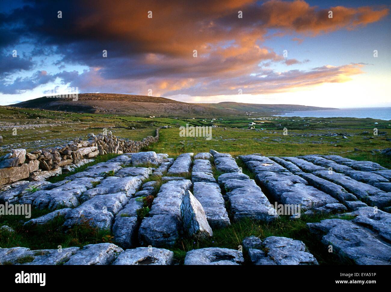 The Burren, Fanore, County Clare, Ireland; Limestone Covered Landscape ...