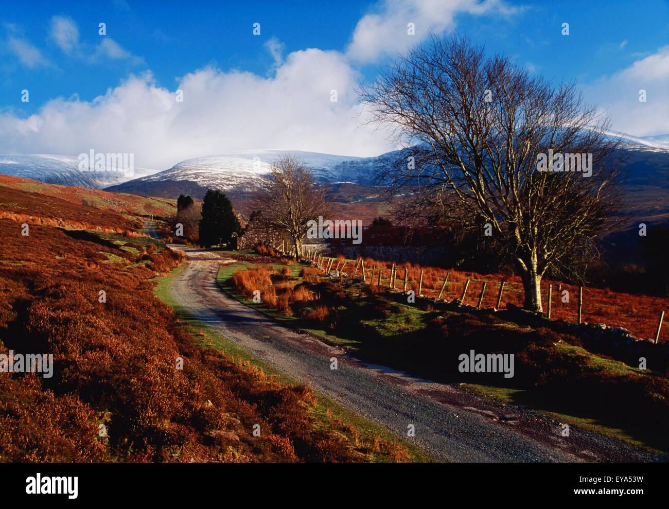 Nire valley hi-res stock photography and images - Alamy