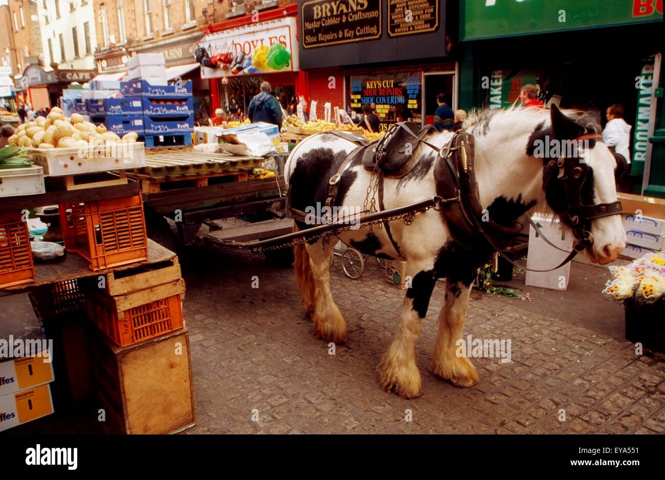 Irish horse carts hi-res stock photography and images - Alamy