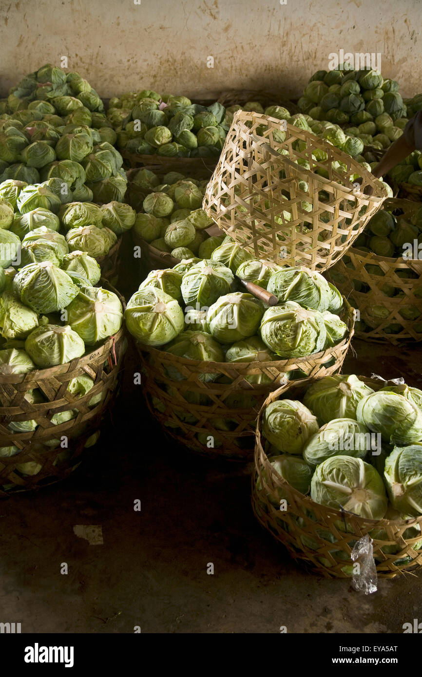 Cabbages In Baskets At Cabbage Farm Stock Photo - Alamy