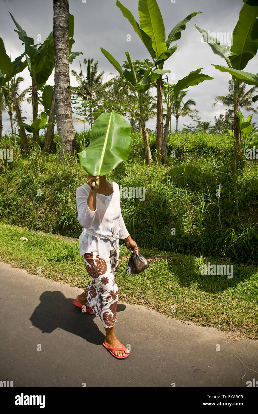 Woman Shading Head With Leaf Stock Photo - Alamy