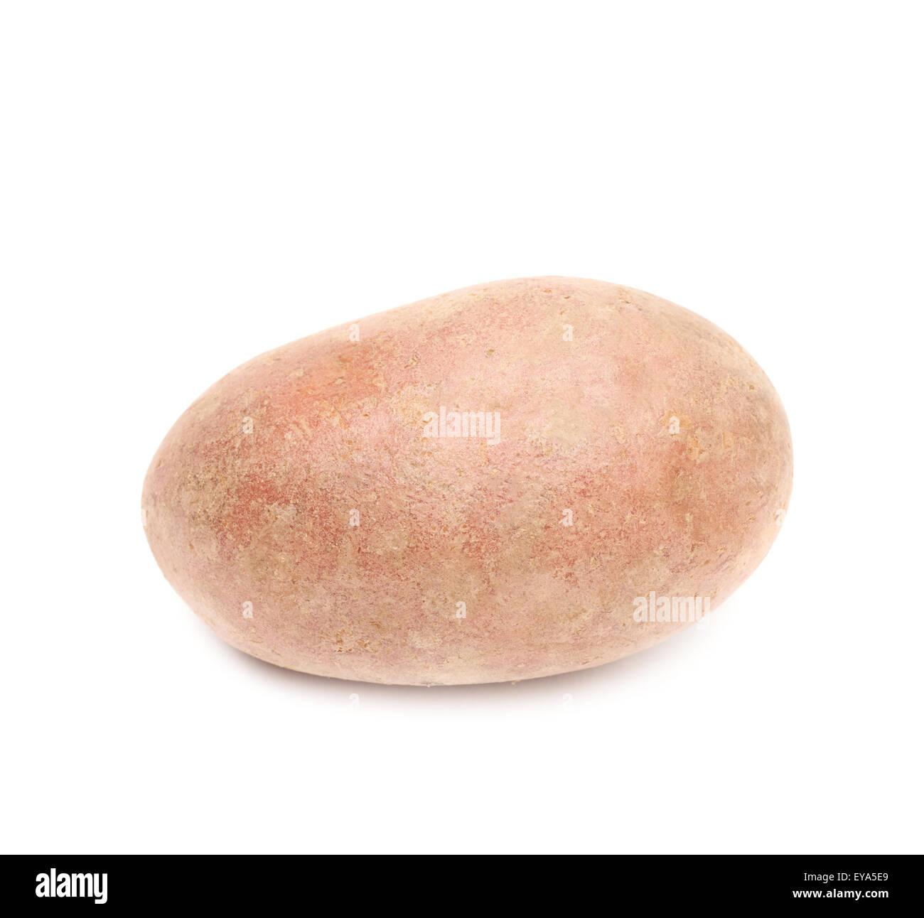 Dark brown potato isolated Stock Photo - Alamy