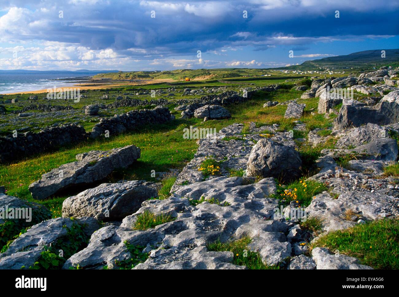 The Burren, County Clare, Ireland; Rocky Landscape Stock Photo - Alamy