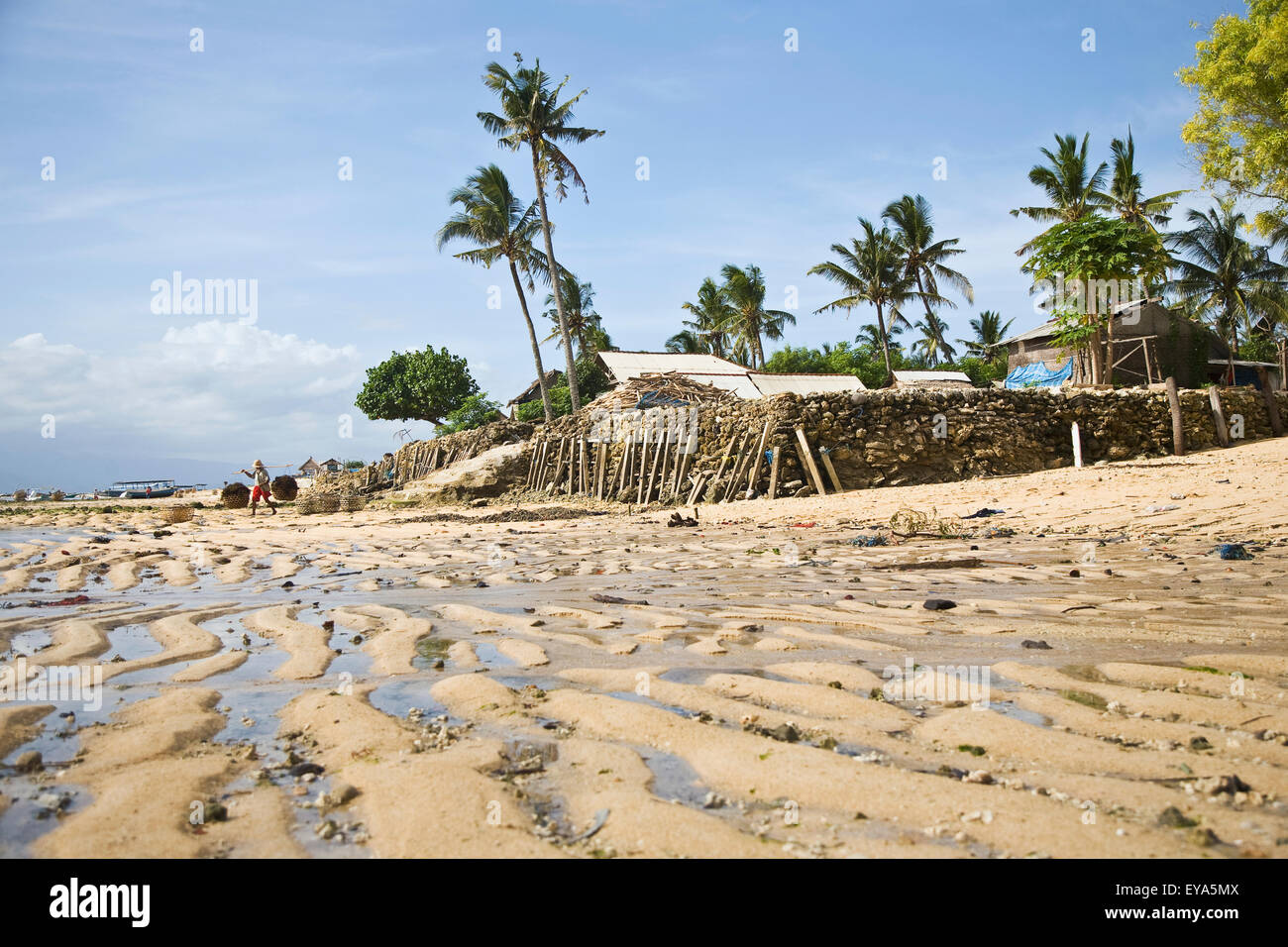Seaweed Farming By Beach Stock Photo - Alamy