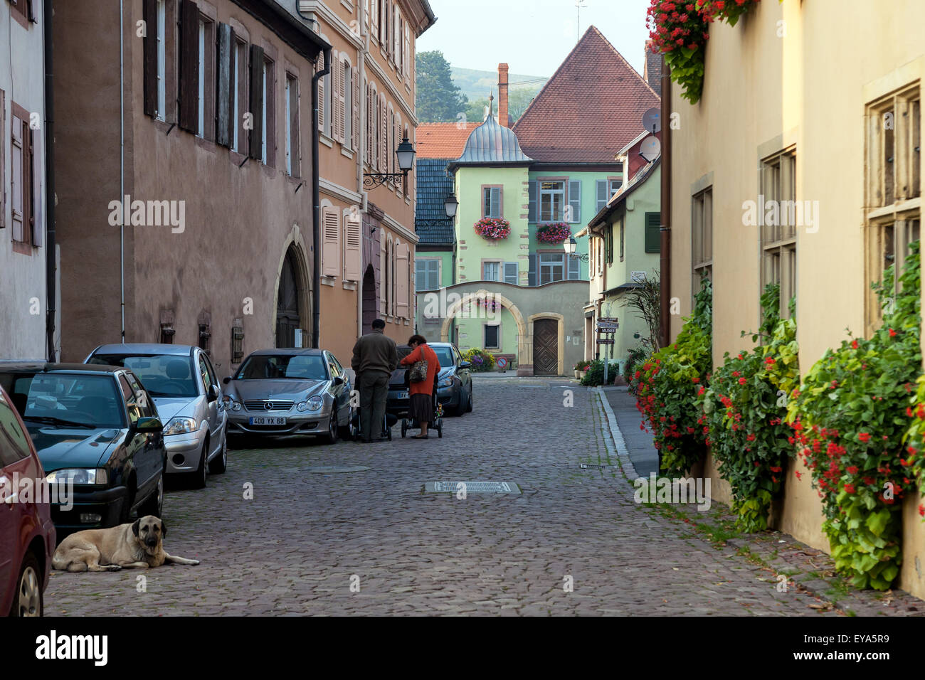 Tuerkheim, France, road to nursing home Stock Photo - Alamy