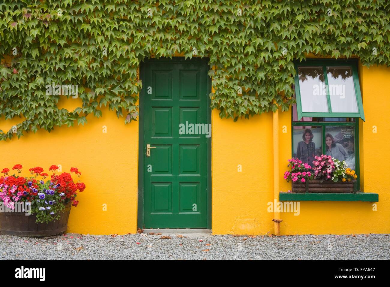 Quills craft hi-res stock photography and images - Alamy