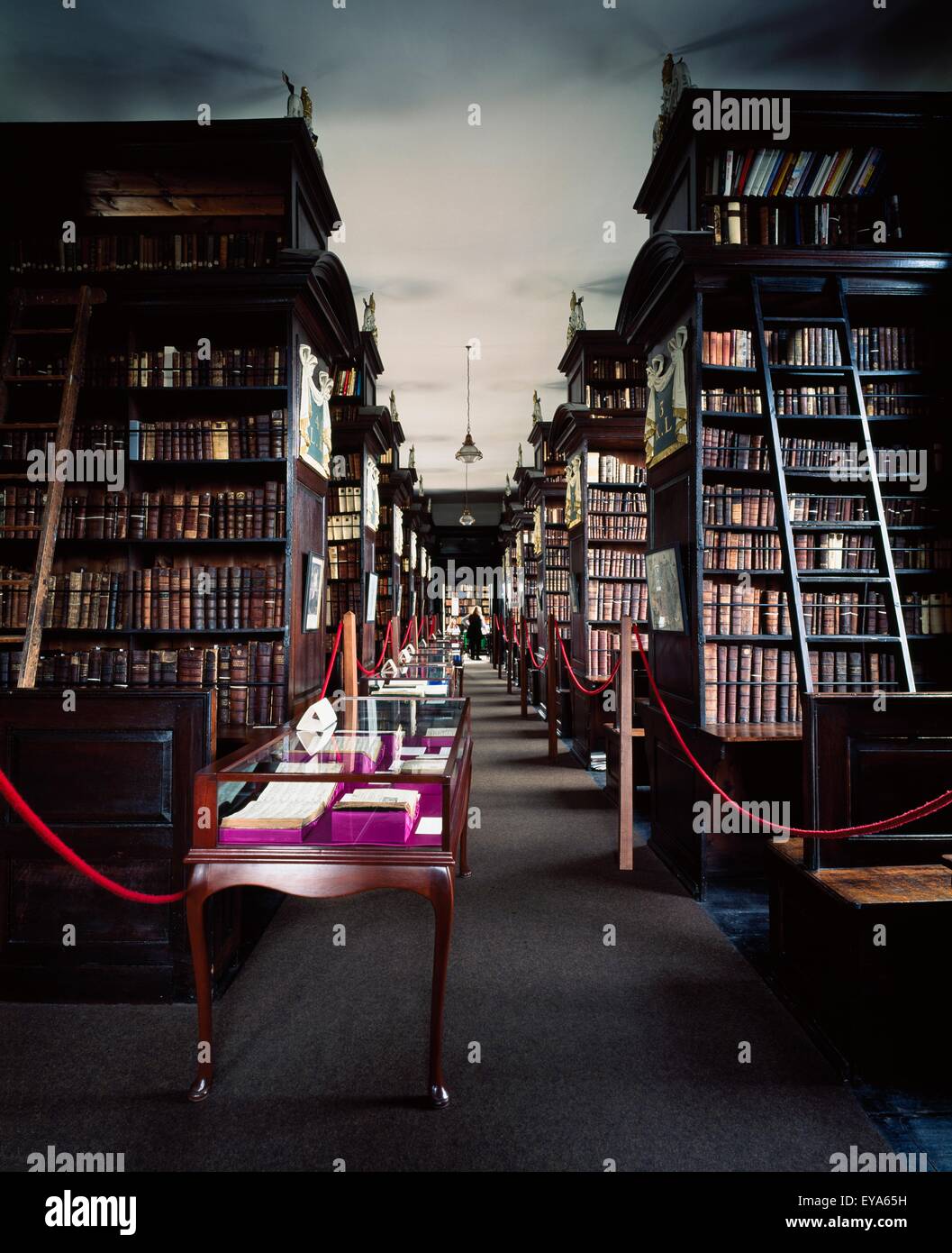 Marsh's library dublin hi-res stock photography and images - Alamy