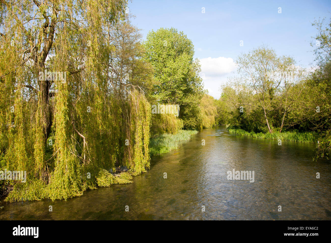 Axford ramsbury hi-res stock photography and images - Alamy