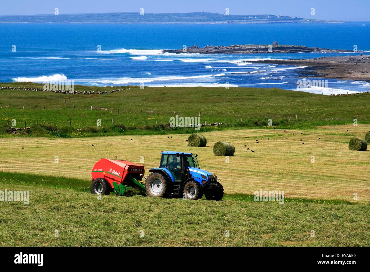 Doolin, County Clare, Ireland; Harvesting Hay Stock Photo - Alamy