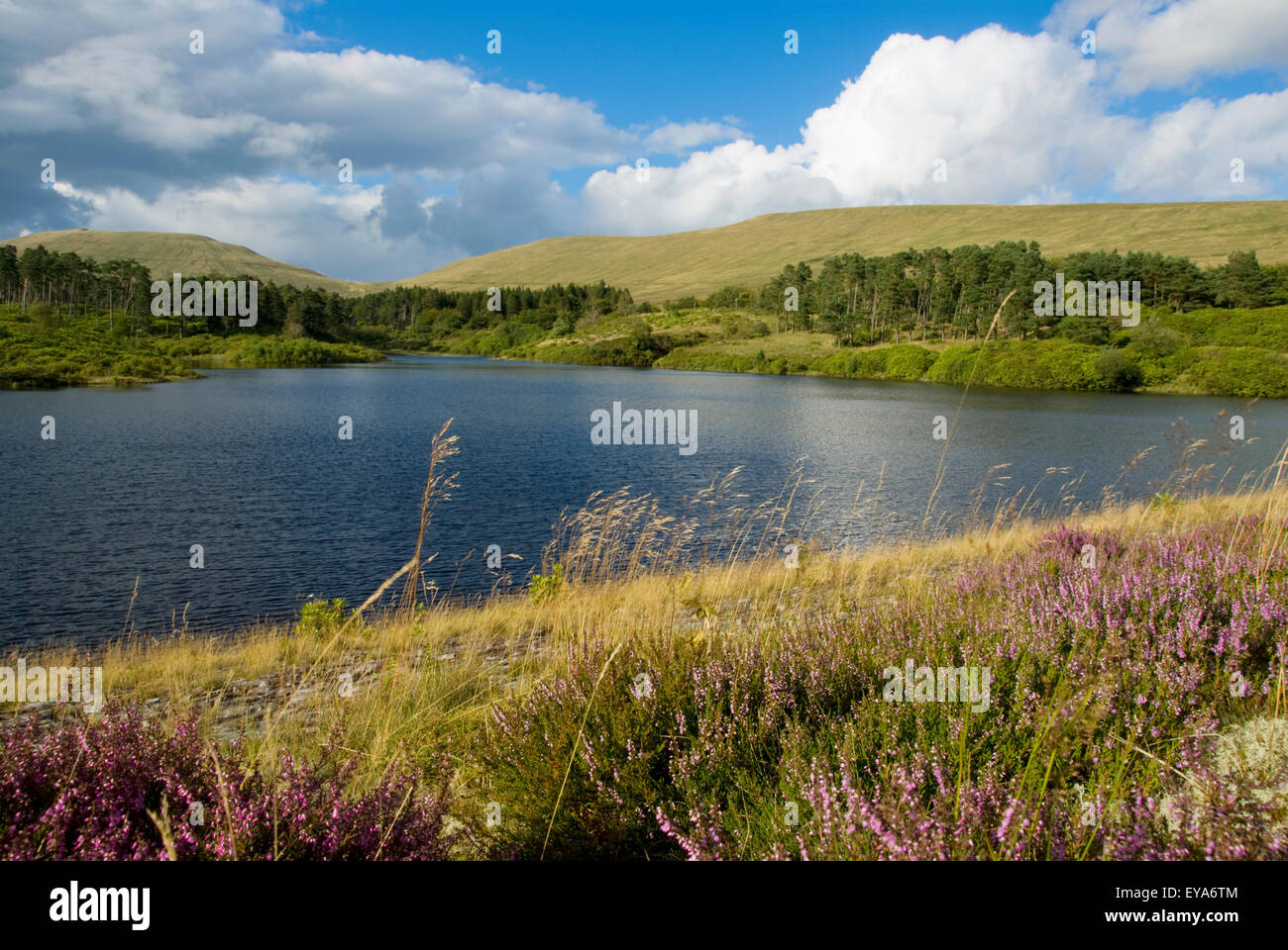 Brecon Beacons Neuadd Reservoir Stock Photo - Alamy