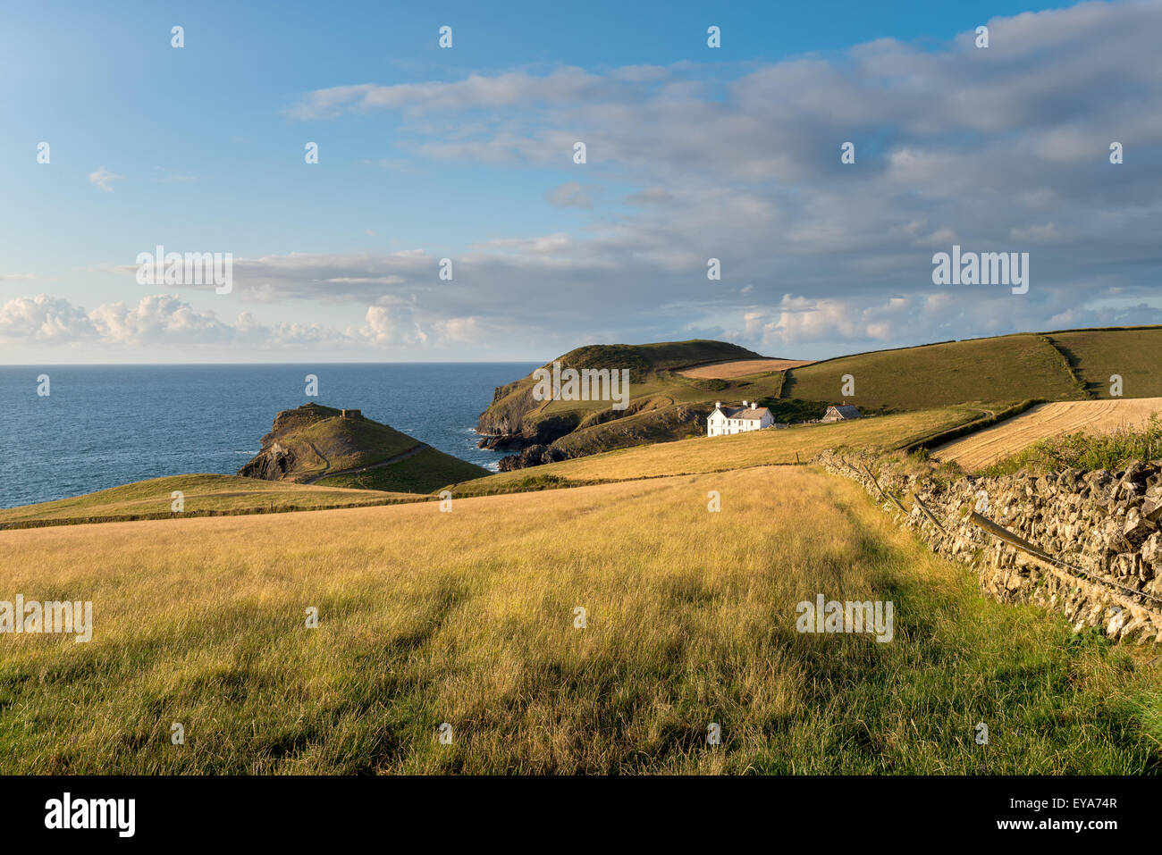 The north Cornwall coast above Port Quin looking at Doyden Point Stock ...