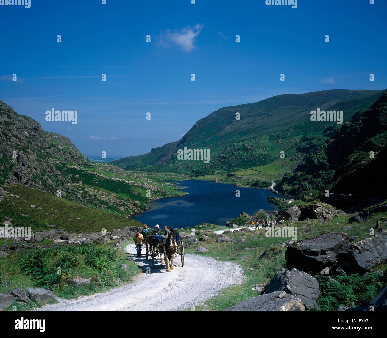 Killarney,Co Kerry,Ireland;Horsetrekking By The Ring Of Kerry Stock ...