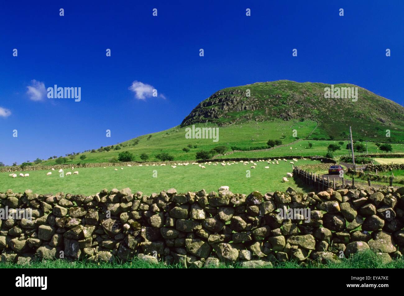Slemish Mountain, Co Antrim, Ireland Stock Photo - Alamy