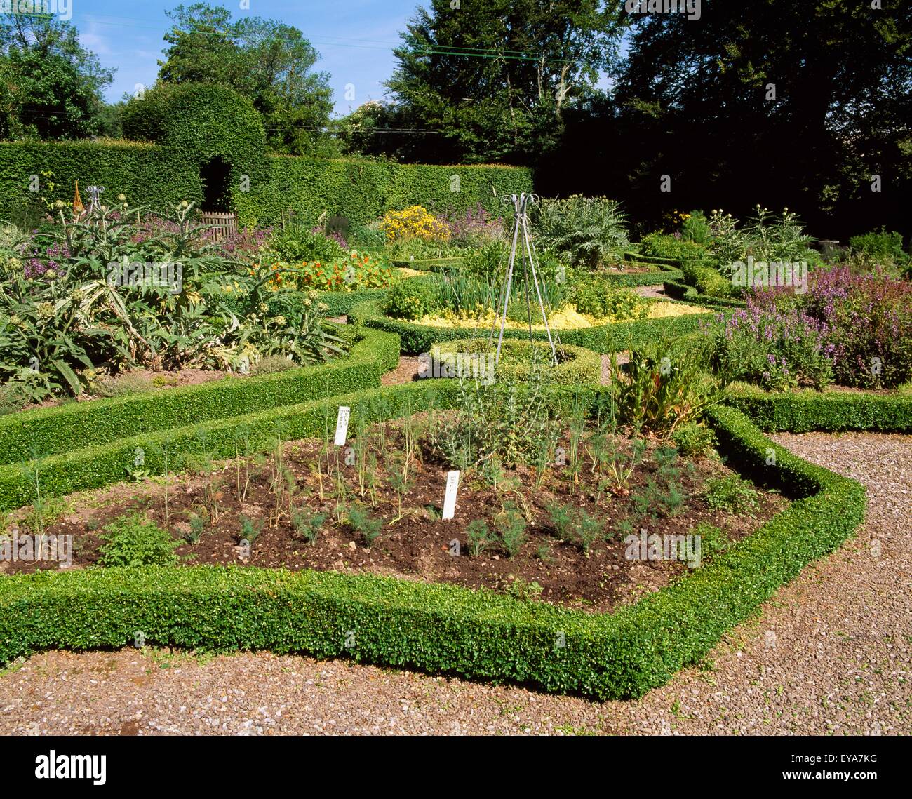 Box Hedges High Resolution Stock Photography and Images - Alamy