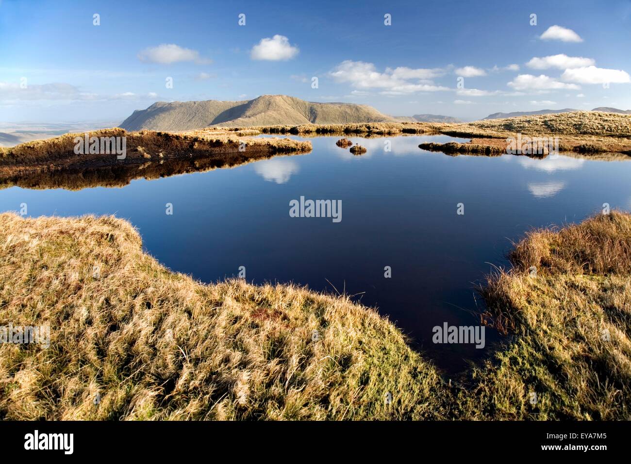 Irish bog pool ireland hi-res stock photography and images - Alamy