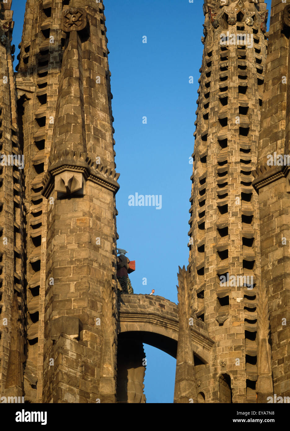 Two Towers Of A Building With A Walkway Connecting Them Against A Blue ...