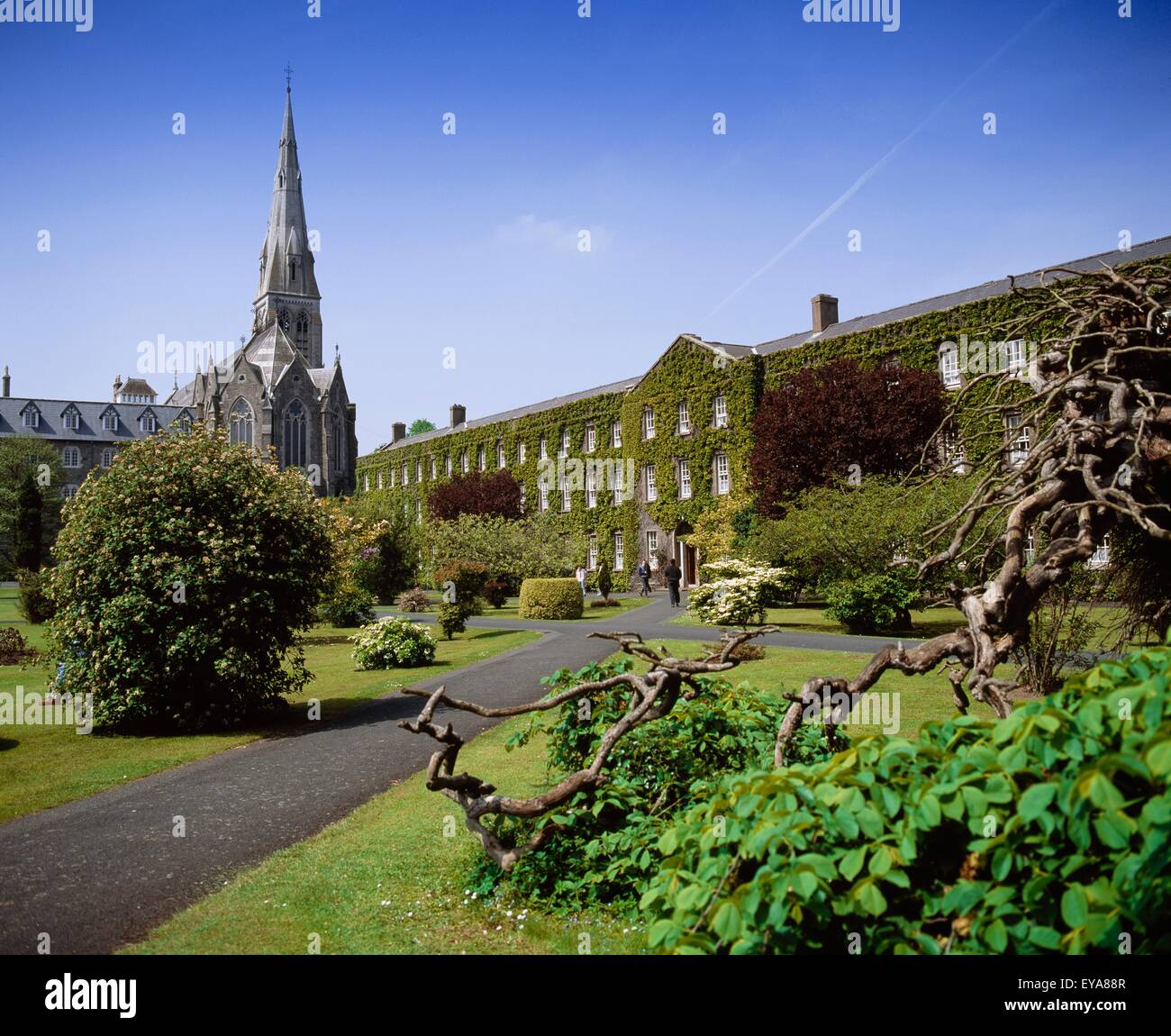 The New House College Chapel And St. Joseph's Square,Maynooth College ...