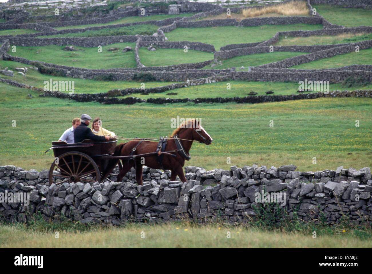 Killarney jaunting car hi-res stock photography and images - Alamy