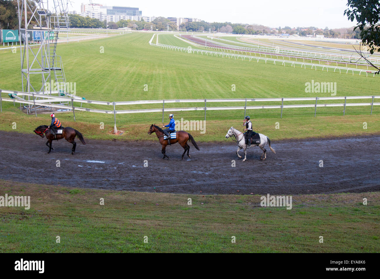 Randwick racing hi-res stock photography and images - Alamy