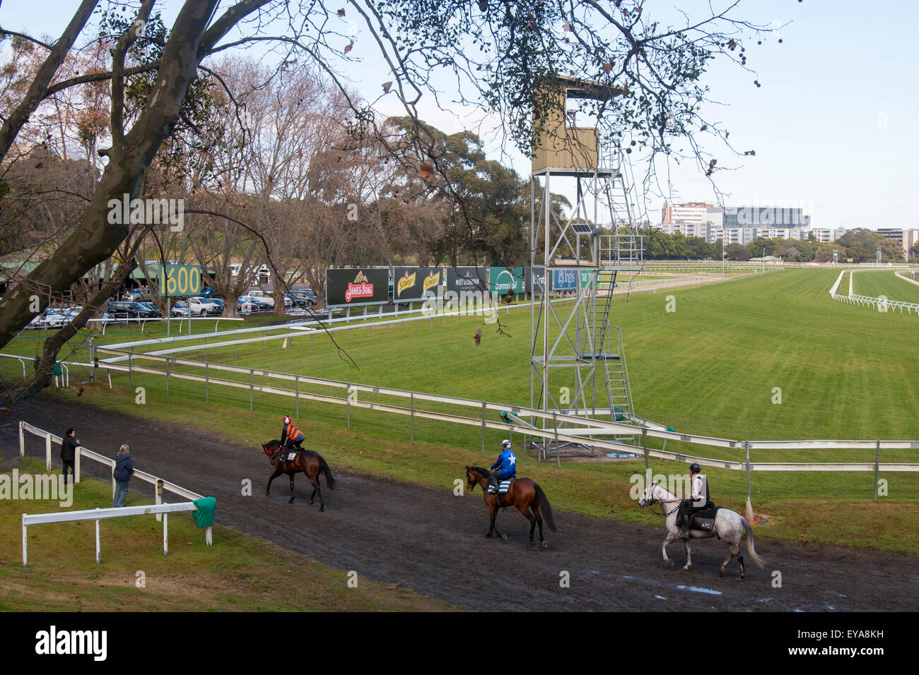 Randwick racing hi-res stock photography and images - Alamy