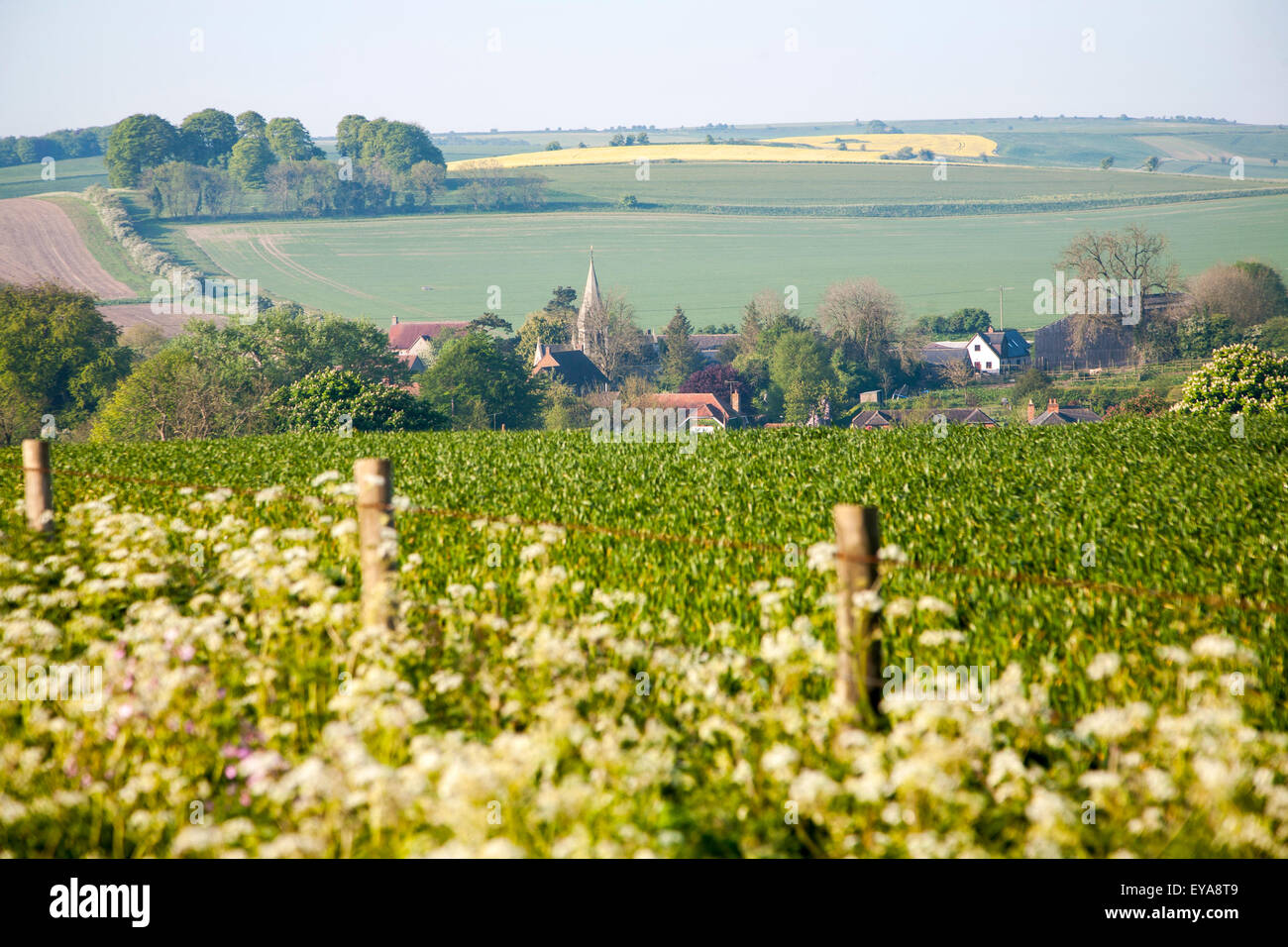 Nucleated village of East Kennett in valley floor of chalk countryside ...