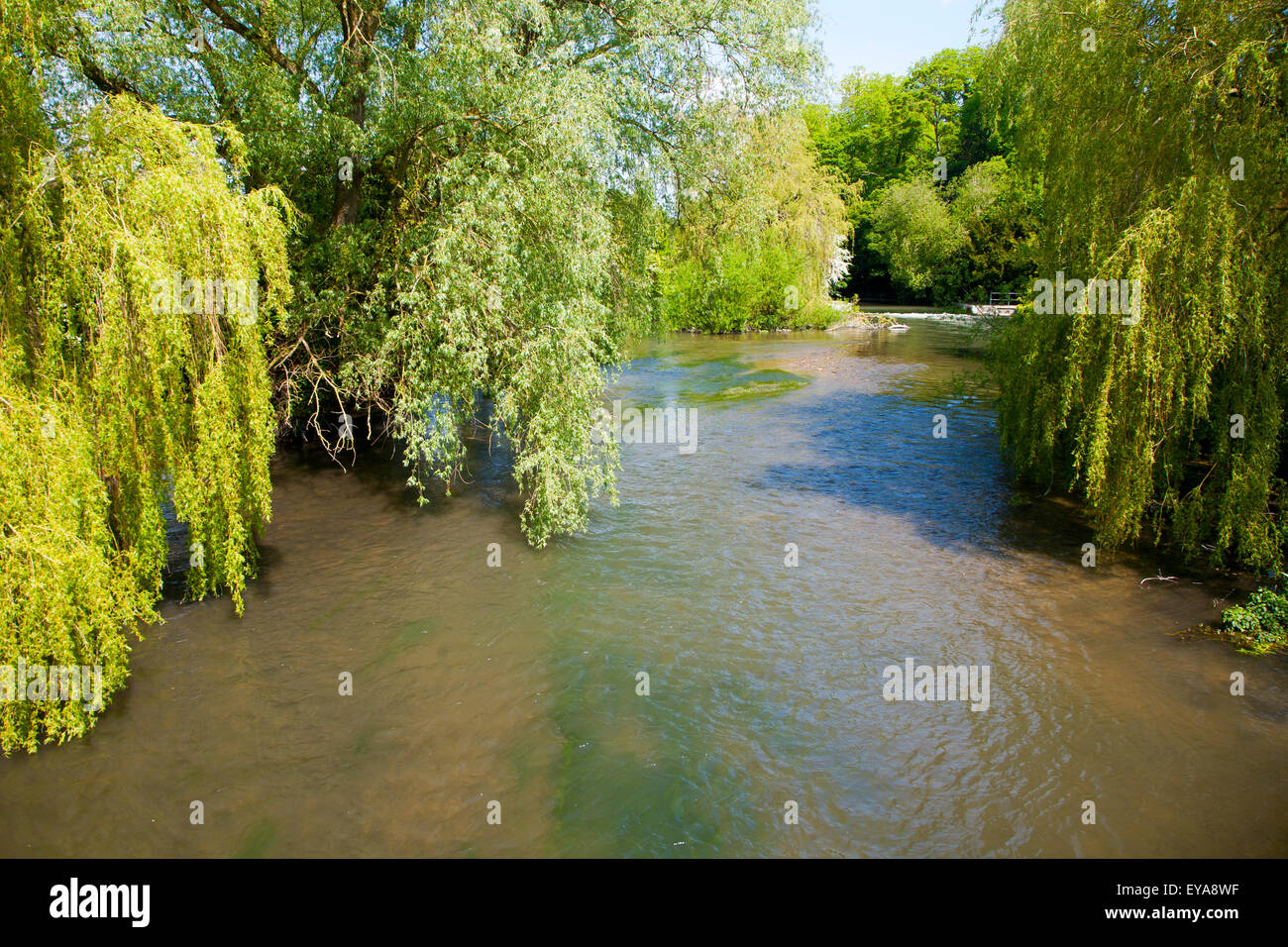 Chalk rivers hi-res stock photography and images - Alamy