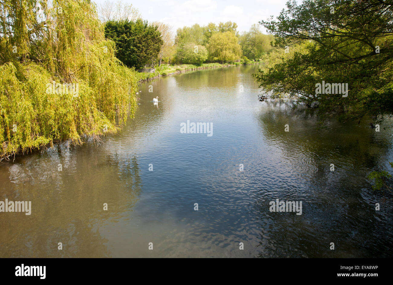 Middle england river avon hi-res stock photography and images - Alamy