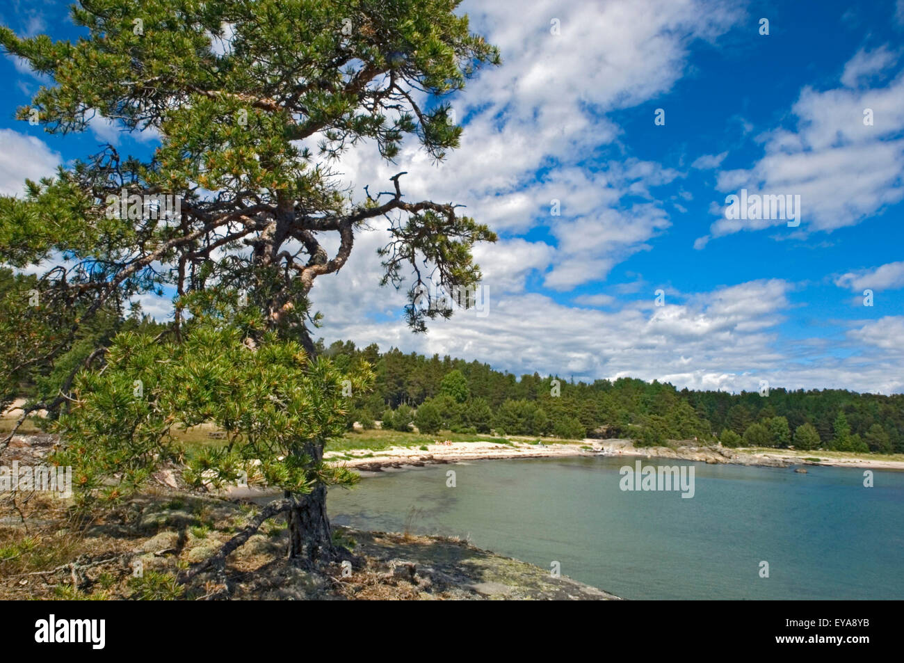 Uto Island, Baltic Archipelago Off Stockholm,Sweden Stock Photo - Alamy