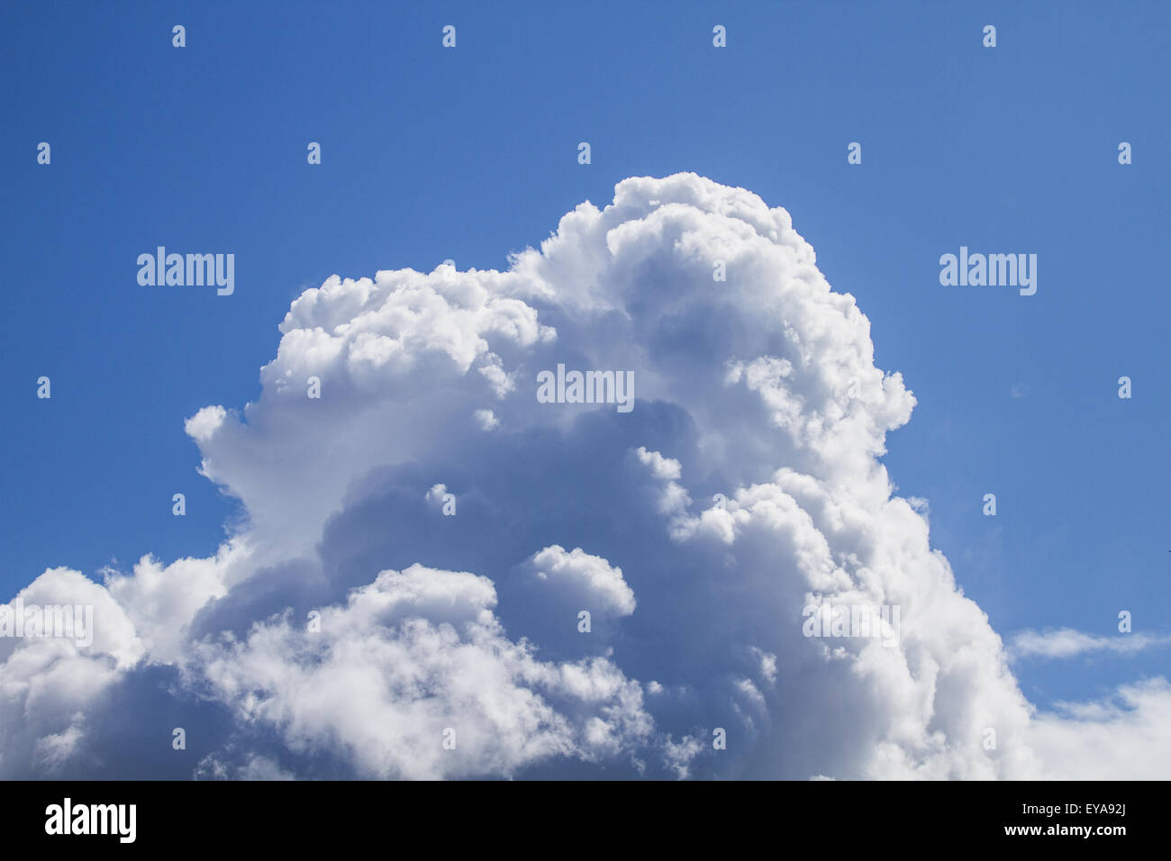 Cumulus Cloud Formation Microplastics Promote Cloud Formation, With