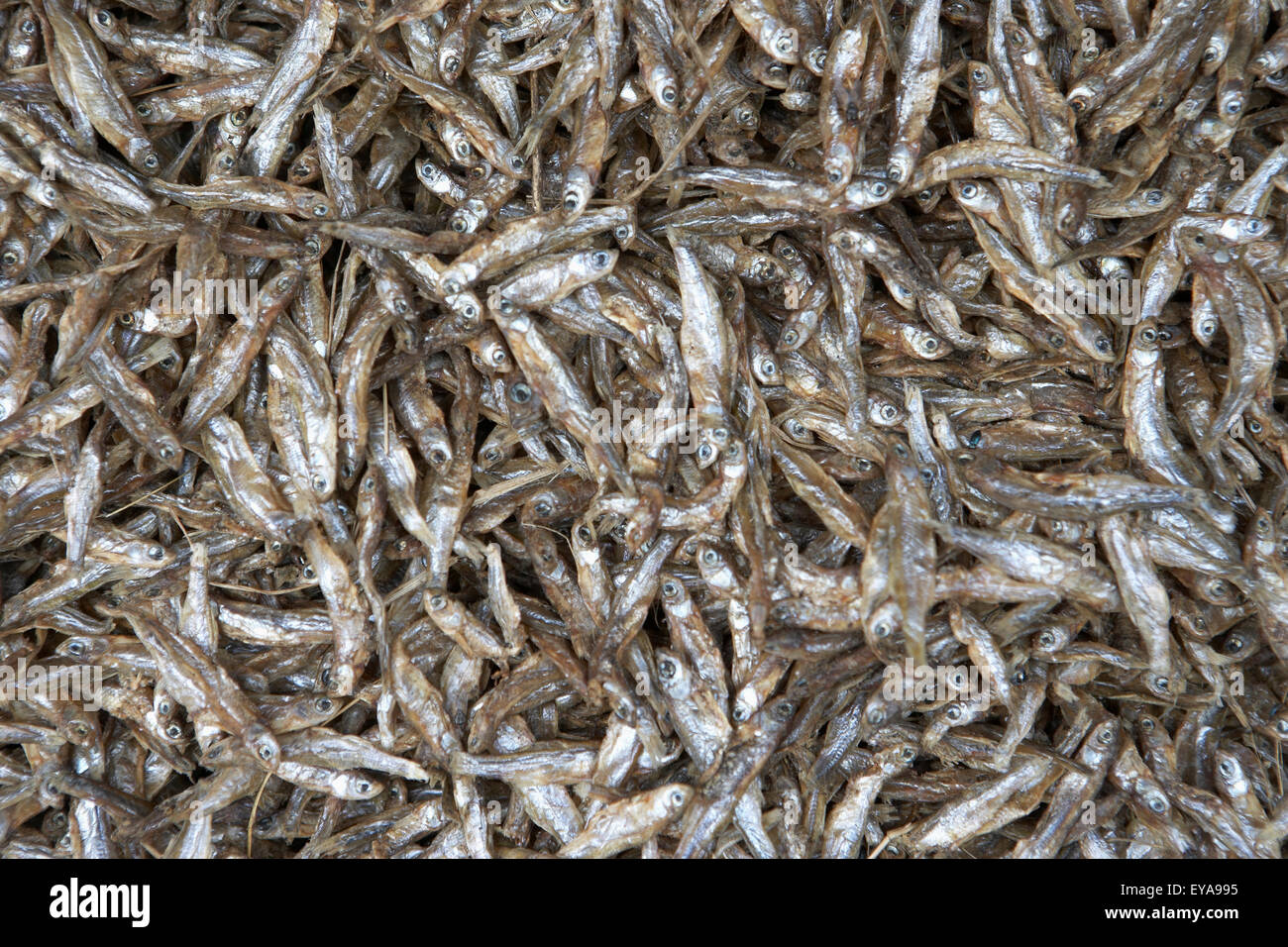Pile Of Dried Fish,Full Frame, Tanzania,East Africa Stock Photo - Alamy