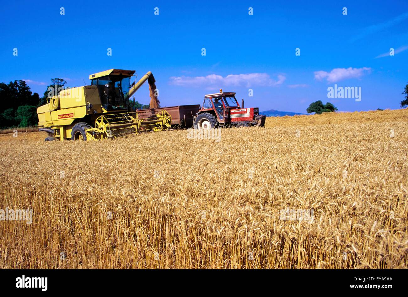 Co combine hi-res stock photography and images - Alamy