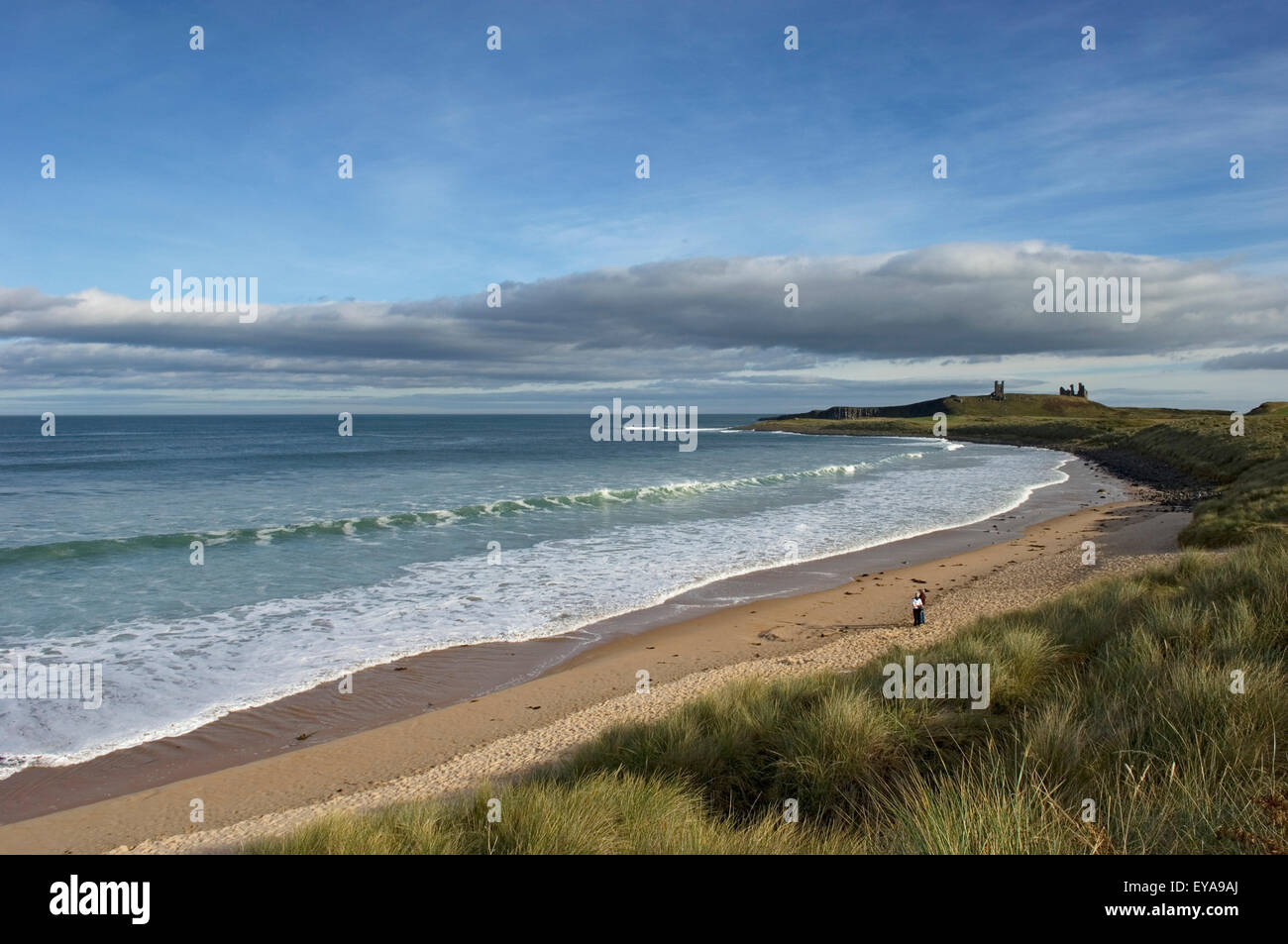 Embleton Bay With Dunstanburgh Castle In Distance, Northumberland ...