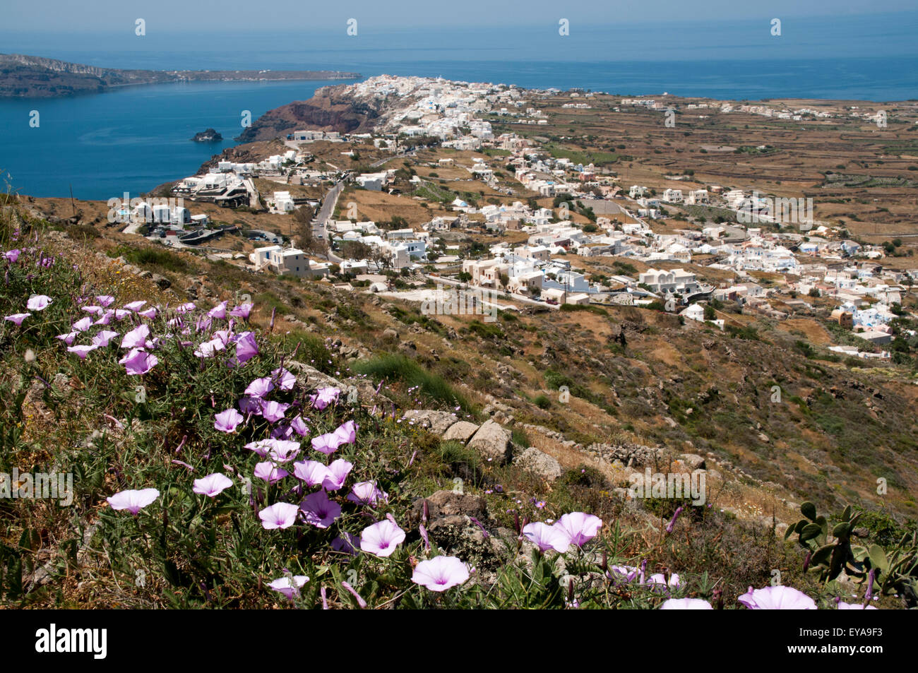 Santorini Island in the Aegean Sea is a part of a caldera topped by ...