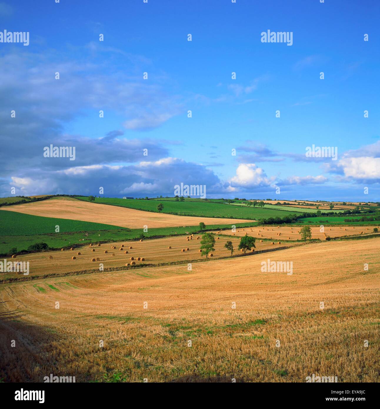 Ardee hi-res stock photography and images - Alamy