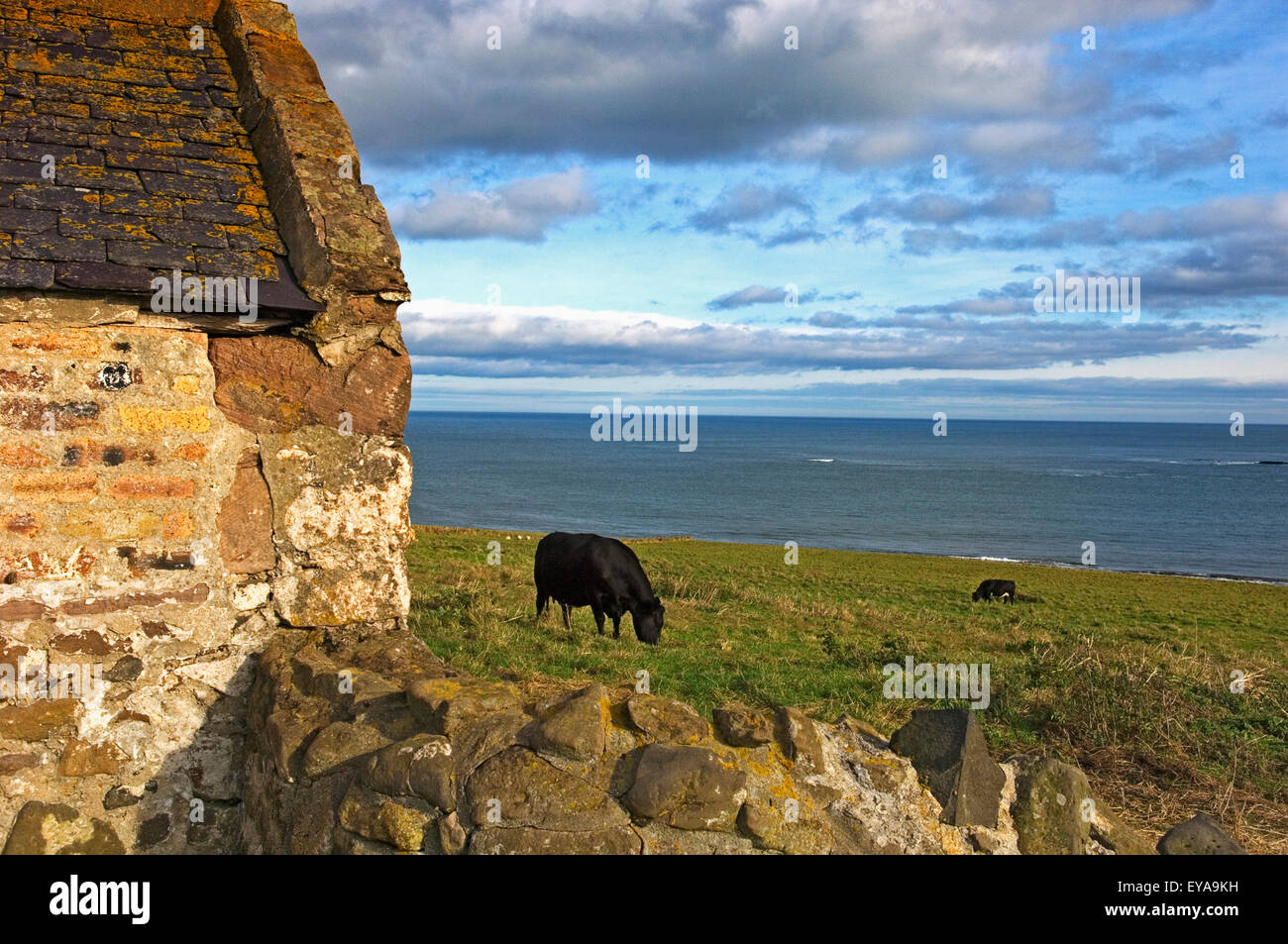 Rural Scene In Low Newton, Northumberland,Uk Stock Photo - Alamy